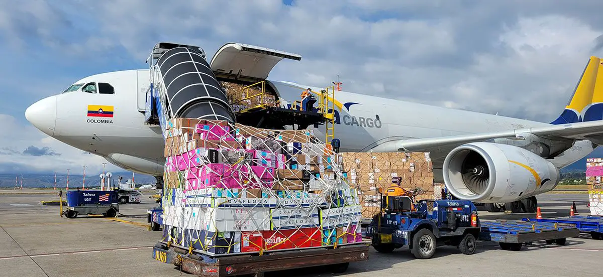 San Valentín: ¿cómo viajan las flores ecuatorianas al Mundo?